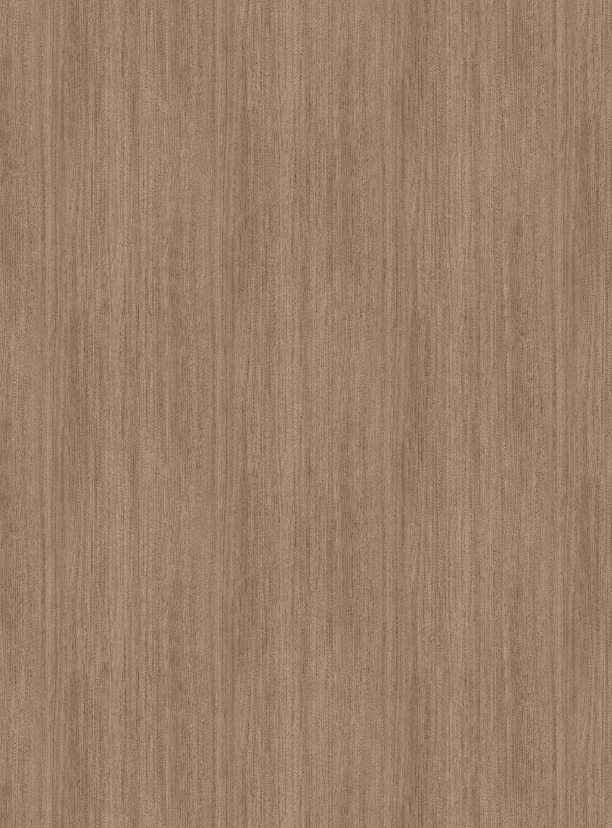 Index of /Products/Surfaces/Pall/